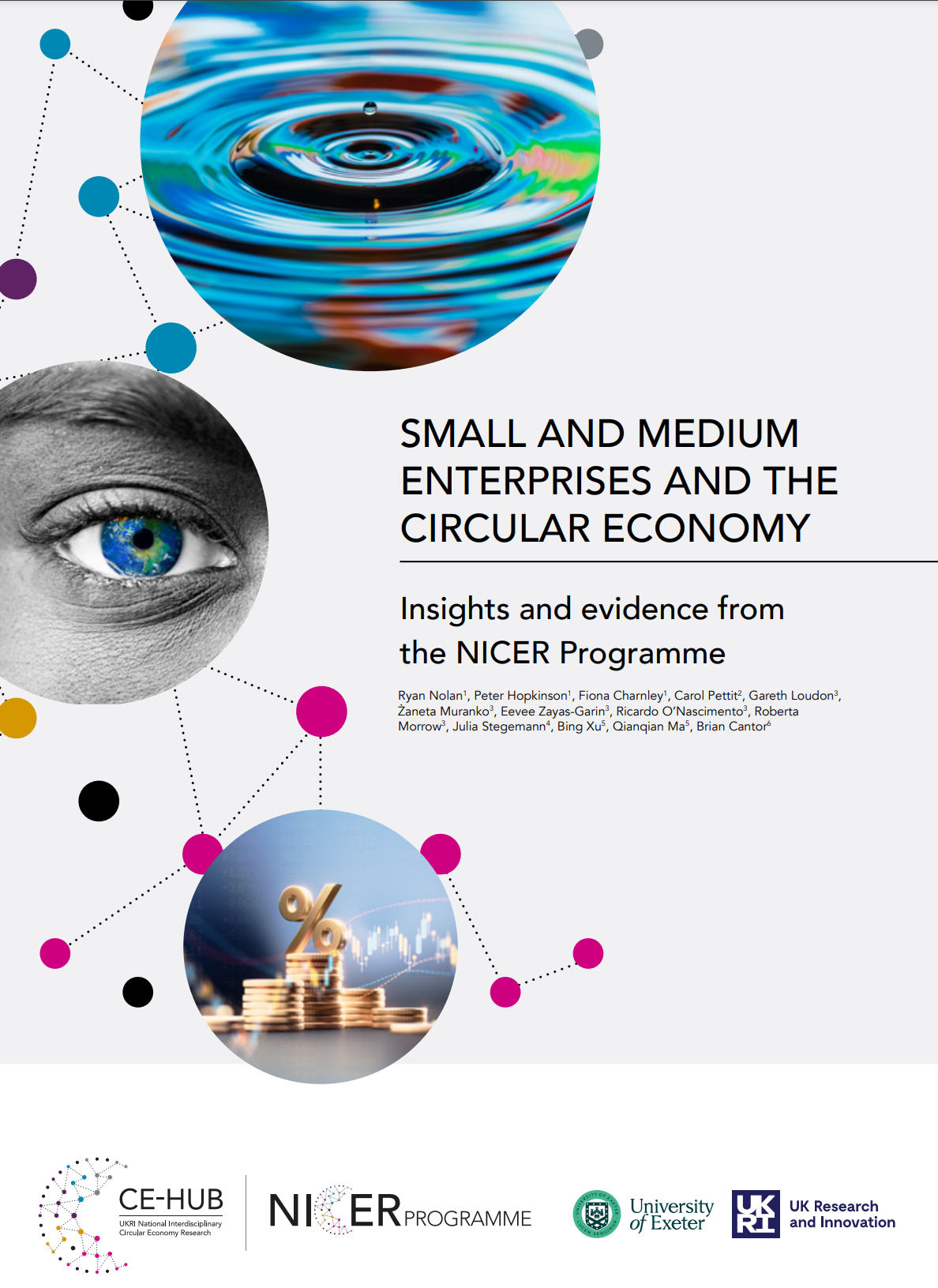 NICER INSIGHT REPORT: SMALL AND MEDIUM ENTERPRISES AND THE CIRCULAR ...